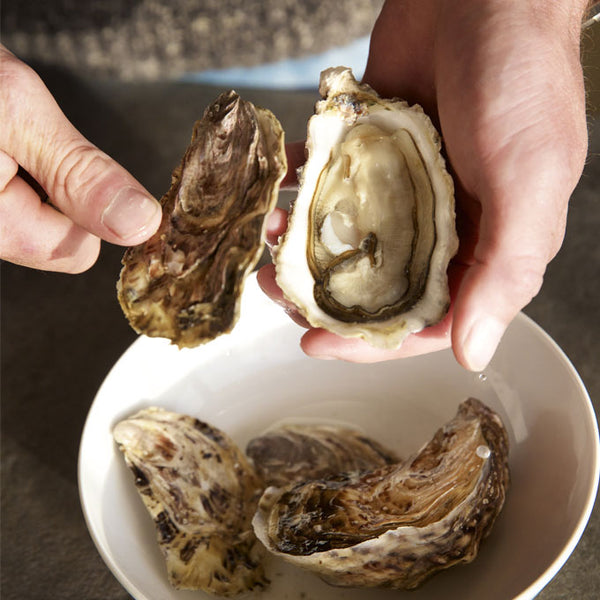 Jersey Rock Oysters – Rossmore Oysters Ltd
